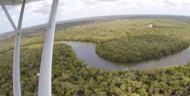 Tourism activities at Boni National Reserve- cultural visits & Bird ...