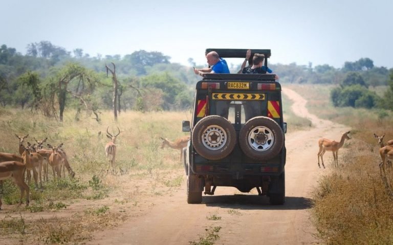 Lake Ihema in Akagera National Park - What to Do at the lake